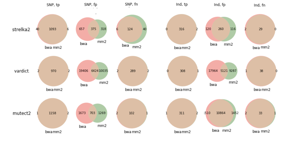 BWA-MEM vs Minimap2: WGS somatic variant calling | UMCCR Genomics ...