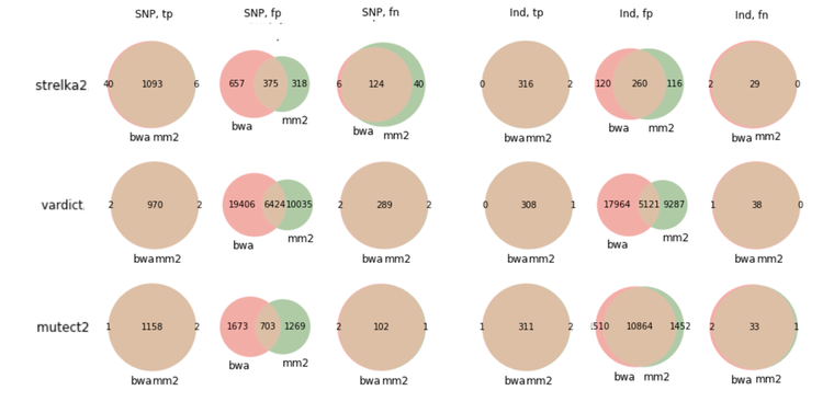 BWA-MEM vs Minimap2: WGS somatic variant calling | UMCCR Genomics Platform Group