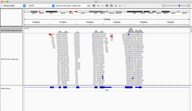 Amazon IGV backend setup | UMCCR Genomics Platform Group Amazon IGV backend setup | UMCCR Genomics Platform Group