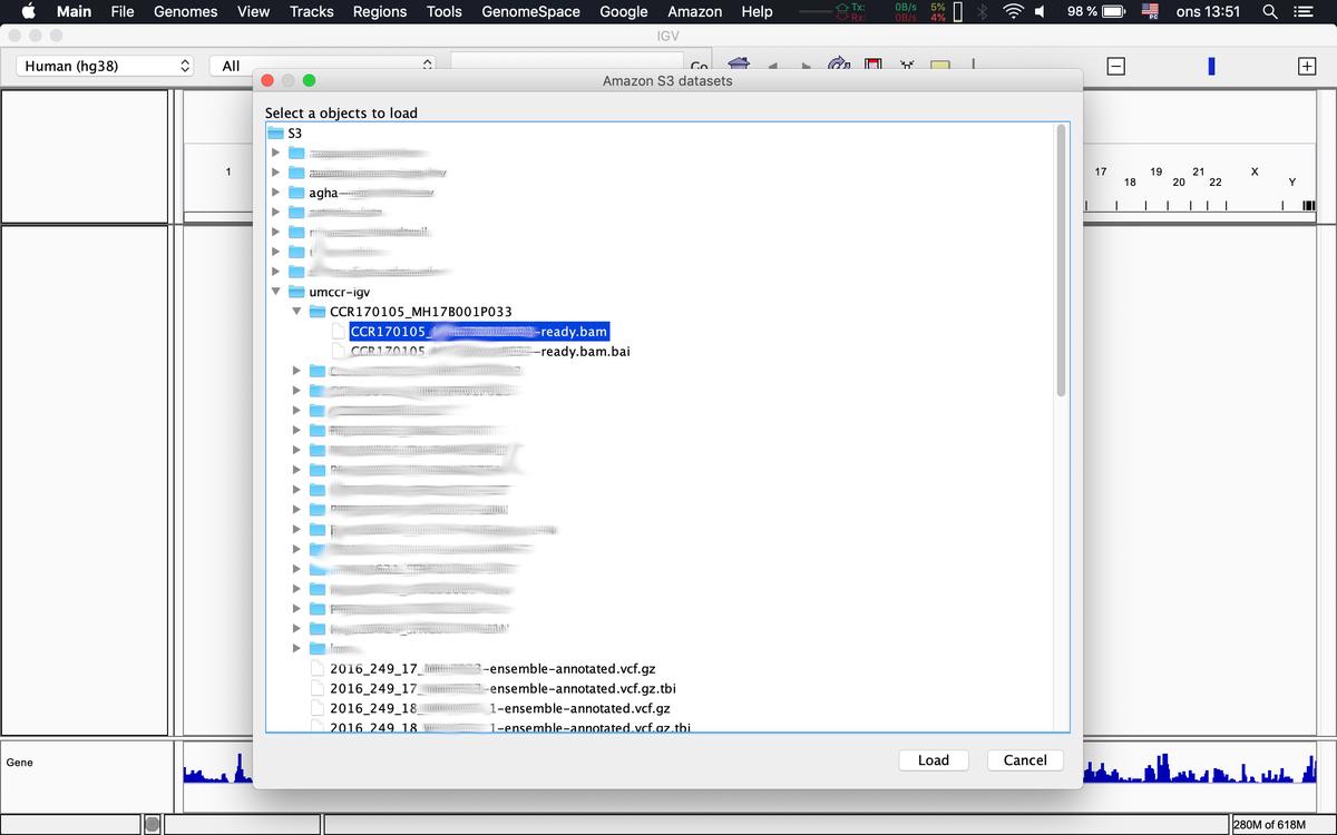 IGV frontend (desktop client) setup | UMCCR Genomics Platform Group IGV frontend (desktop client) setup | UMCCR Genomics Platform Group